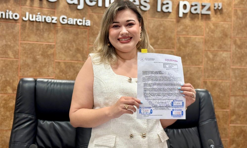DIP. MICHELLE TEJEDA PROPONE SANCIONES MÁS SEVERAS PARA QUIENES AGREDAN ...